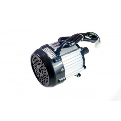 1000W 48V Brushless DC Motor buy online at Low Price in India ...