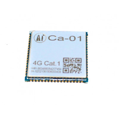 Ai Thinker Ca-01 LTE Cat.1 Module buy online at Low Price in India ...