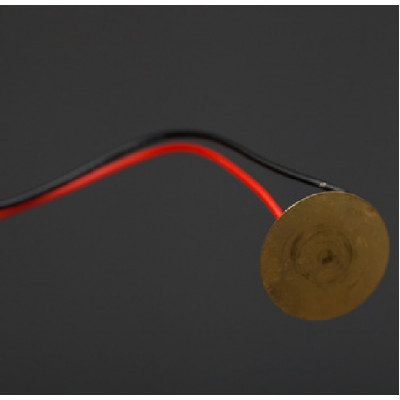 DFRobot Gravity: Digital Piezo Disk Vibration Sensor buy online at Low Price in India ...